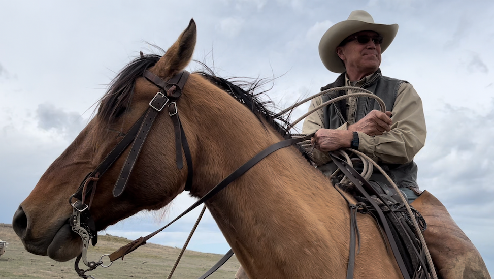 Diffusion TV du documentaire "Wibaux Wanted" – Pictanovo